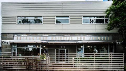 Leaders In Elite Veterinary Care | EVG Specialty Network