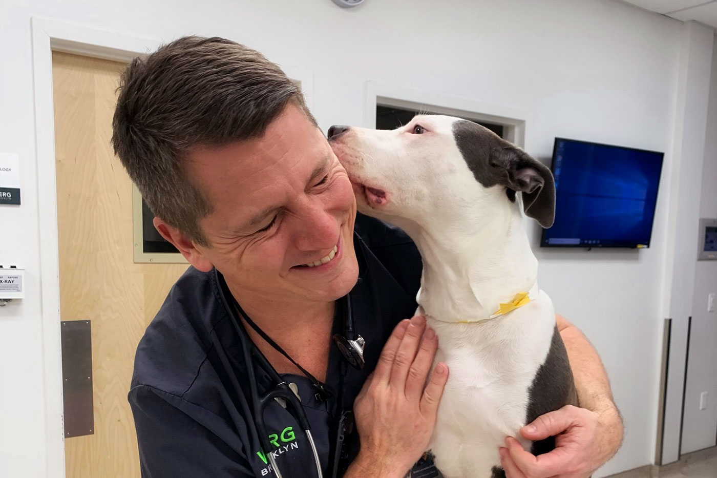 About EVG Specialty Network | Leaders In Elite Vet Care