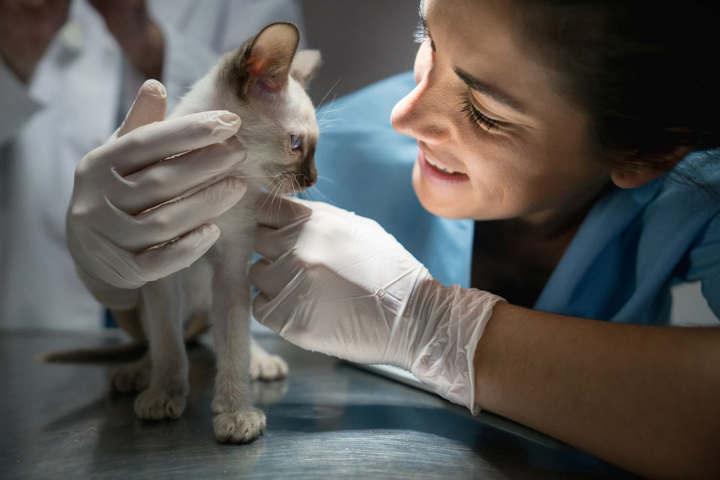 EVG Specialty Network Team | Leaders In Elite Veterinary Care