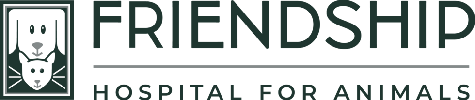 Our Network Of Specialty Hospitals | EVG Specialty Network